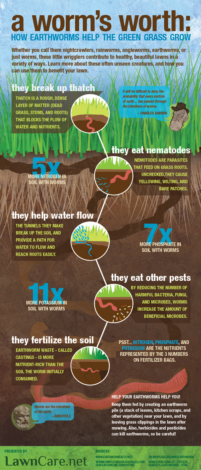 Vermiculture Vermiculture